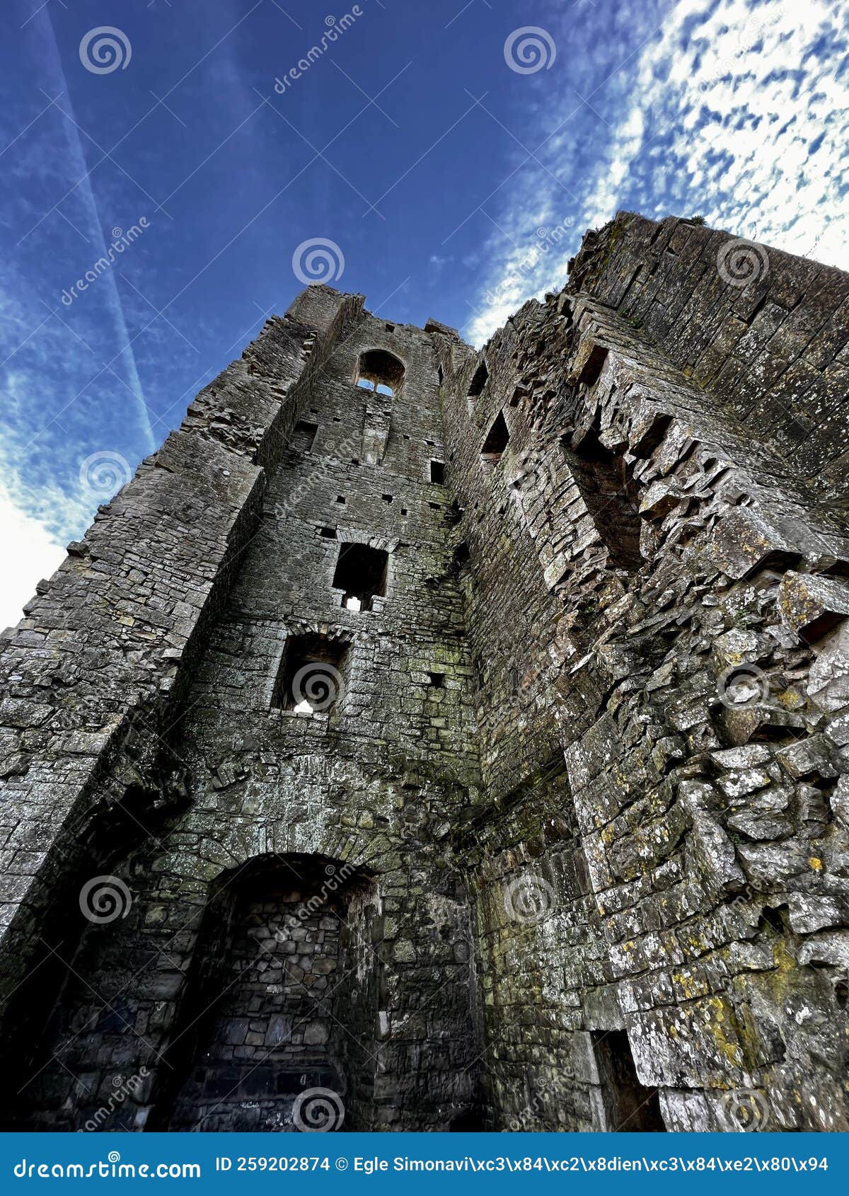Trim castle stock photo. Image of windows, castle, bricks - 259202874