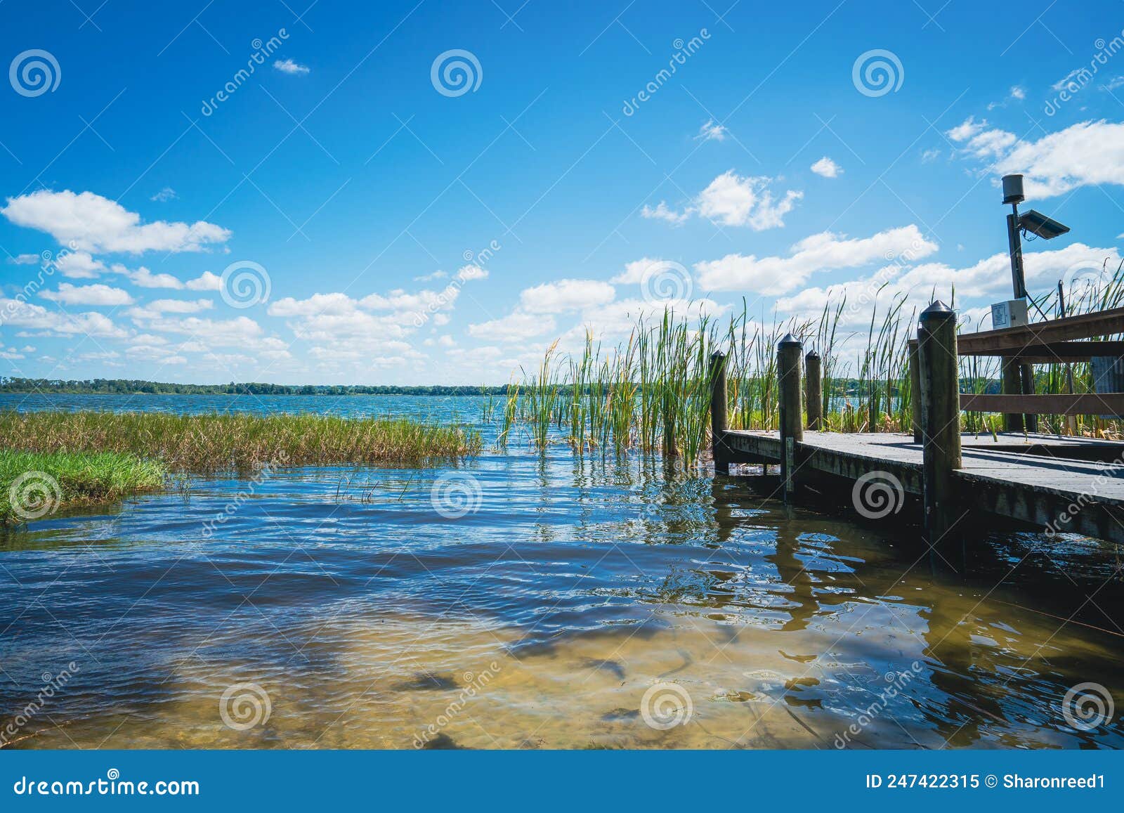 Trimble Park Boat Docks in Mount Dora, Florida Stock Image - Image of ...