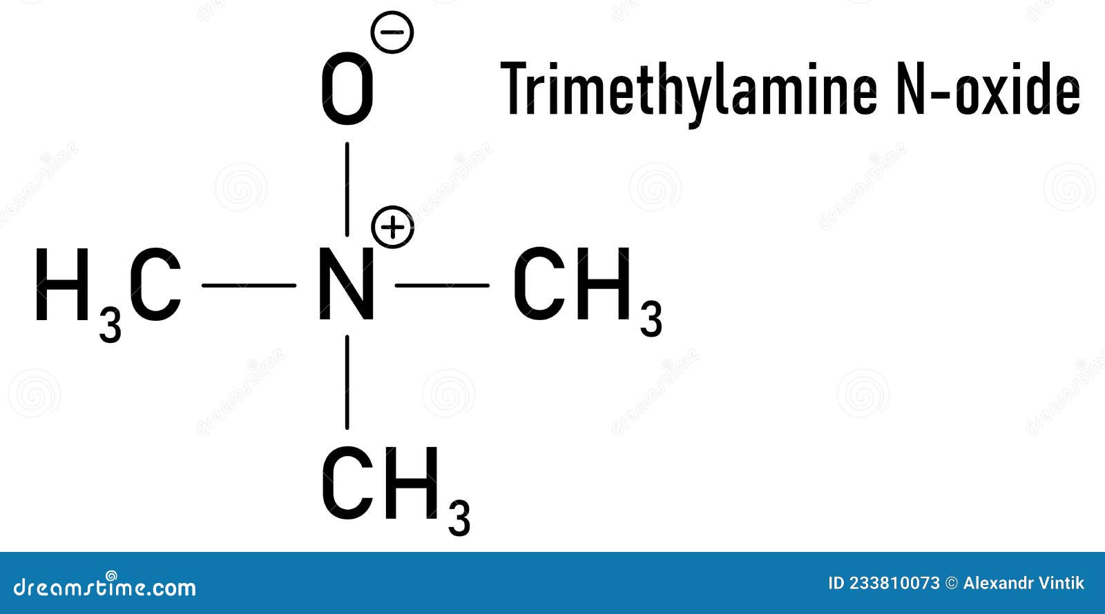 Trimethylamine, TMA Molecule. It Is Amine, Methylamine, Synthesized By ...