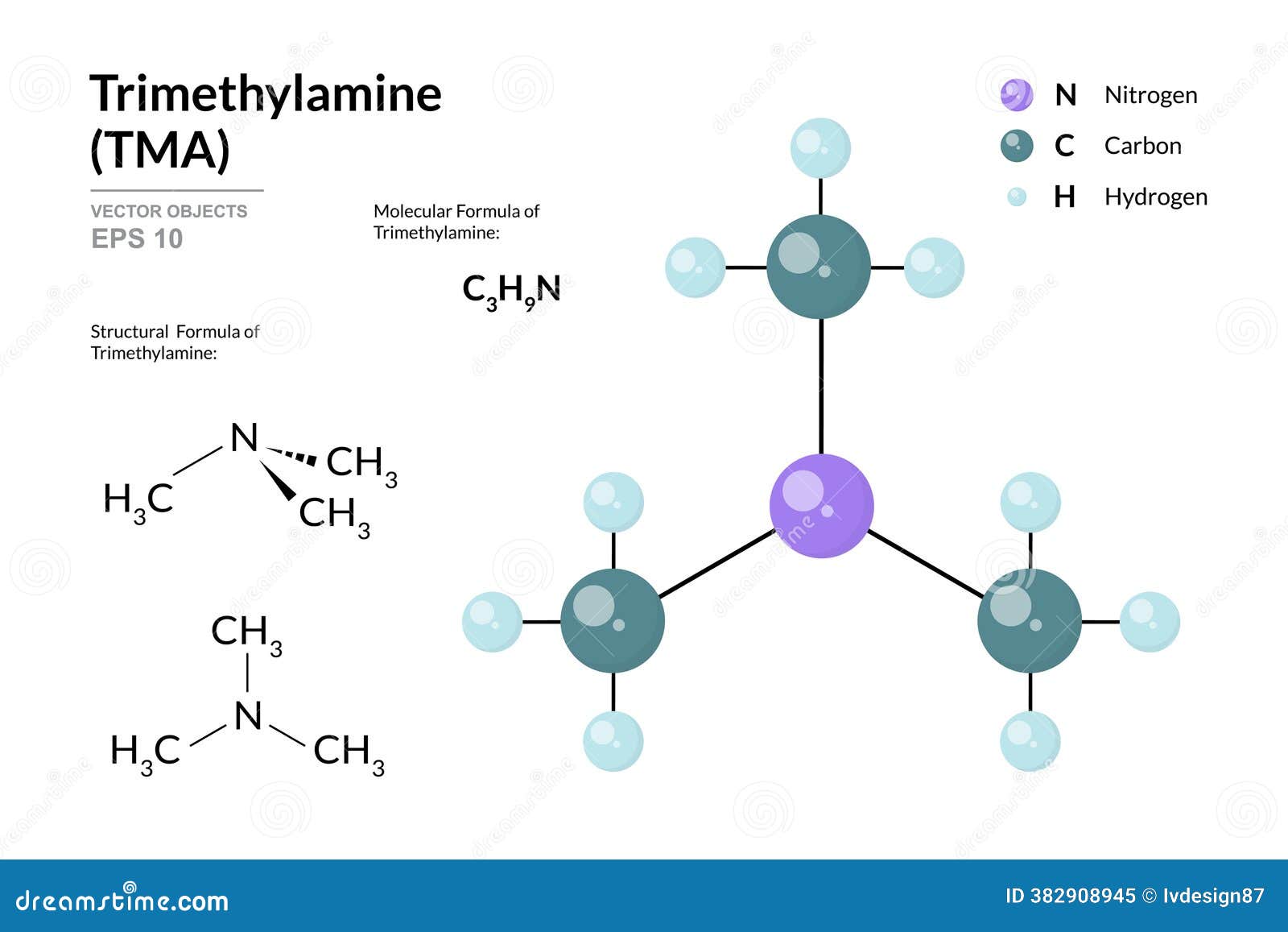 Trimethylamine Molecule, Molecular Structures, Tertiary Amine, 3d Model ...