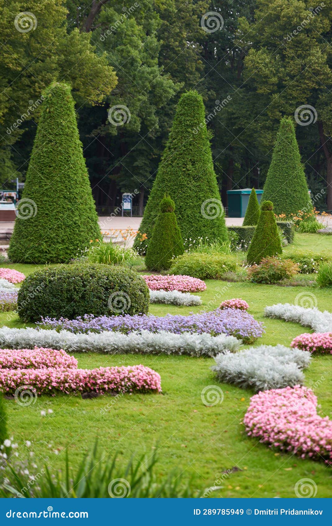 Trimmed Thuja Trees of Triangle Shape at Flower Bed in Formal Garden ...