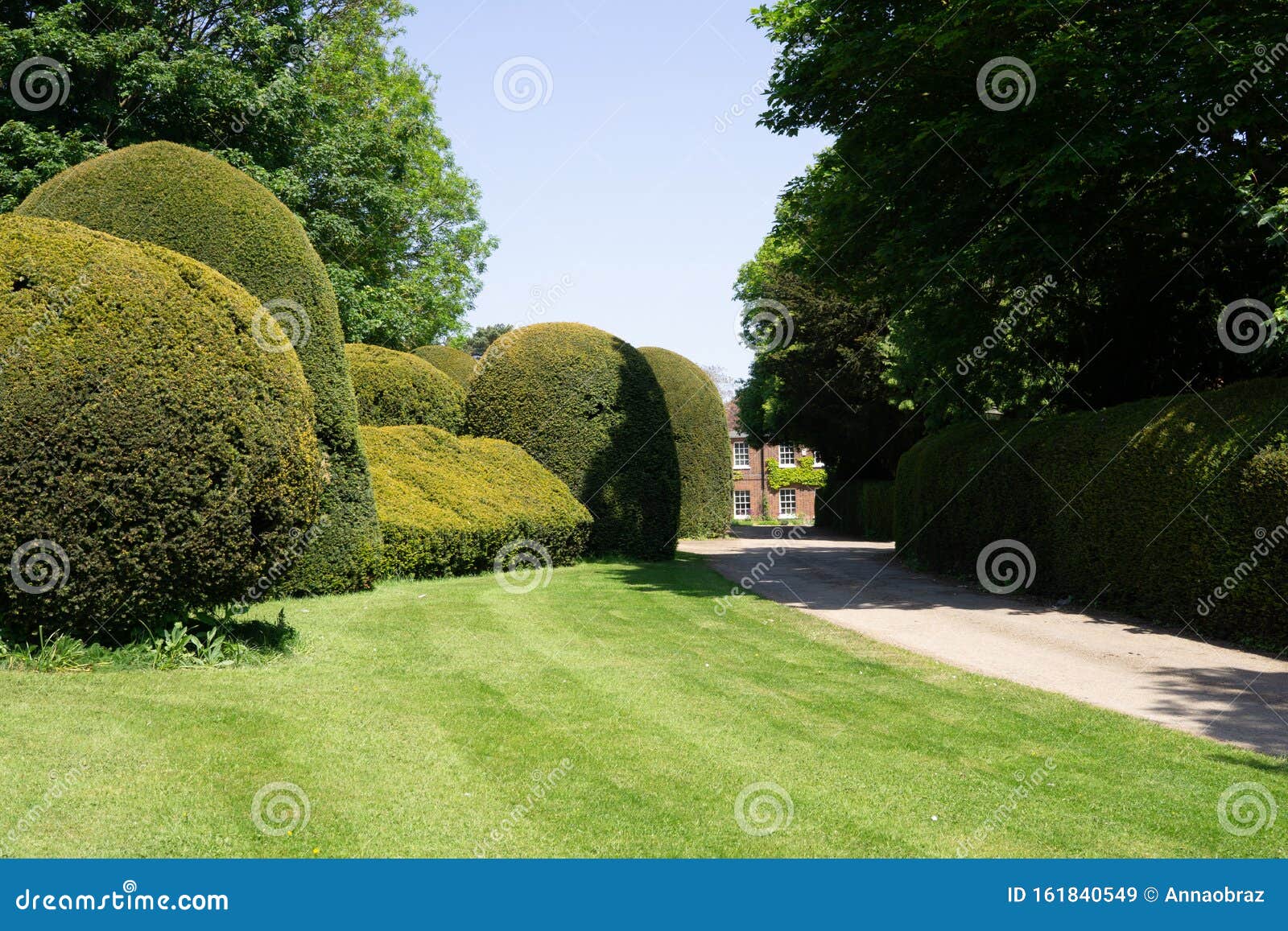 Trimmed Trees in an Old Manor House in England Stock Image - Image of ...