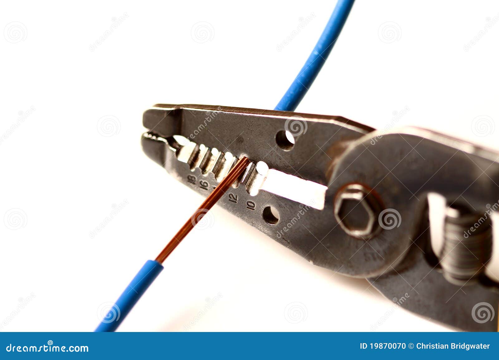 Trimming electric cable stock photo. Image of core, stripping - 19870070