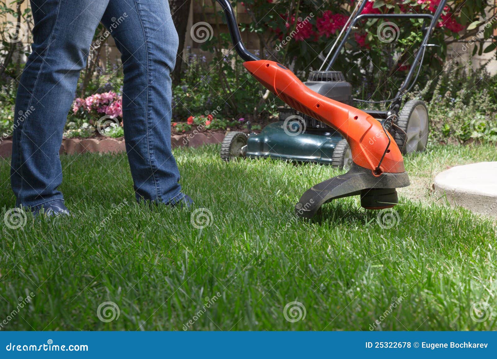 Trimming Lawn stock photo. Image of garden, leisure, trimming - 25322678