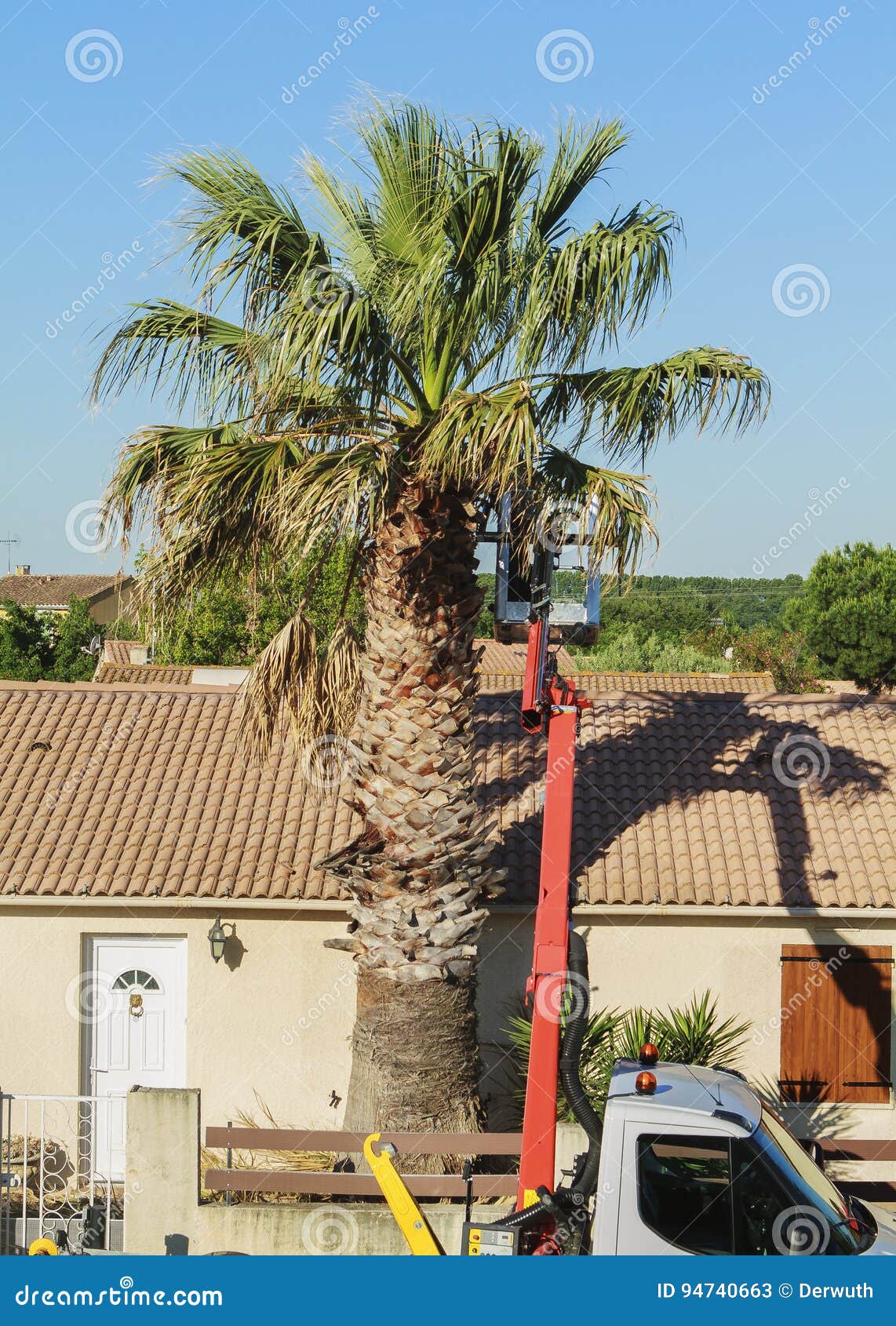 Trimming a tree stock image. Image of tool, cleaning - 94740663