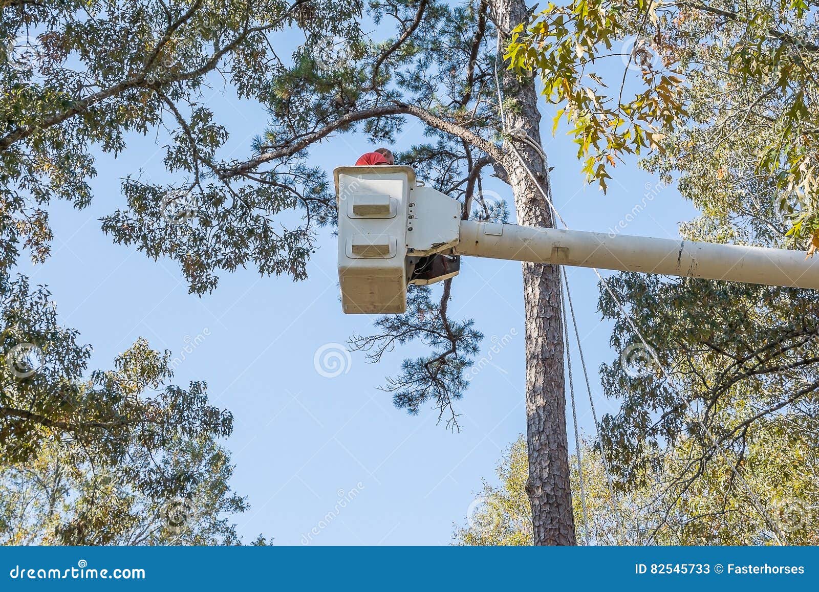 Trimming Trees. stock image. Image of worker, people - 82545733