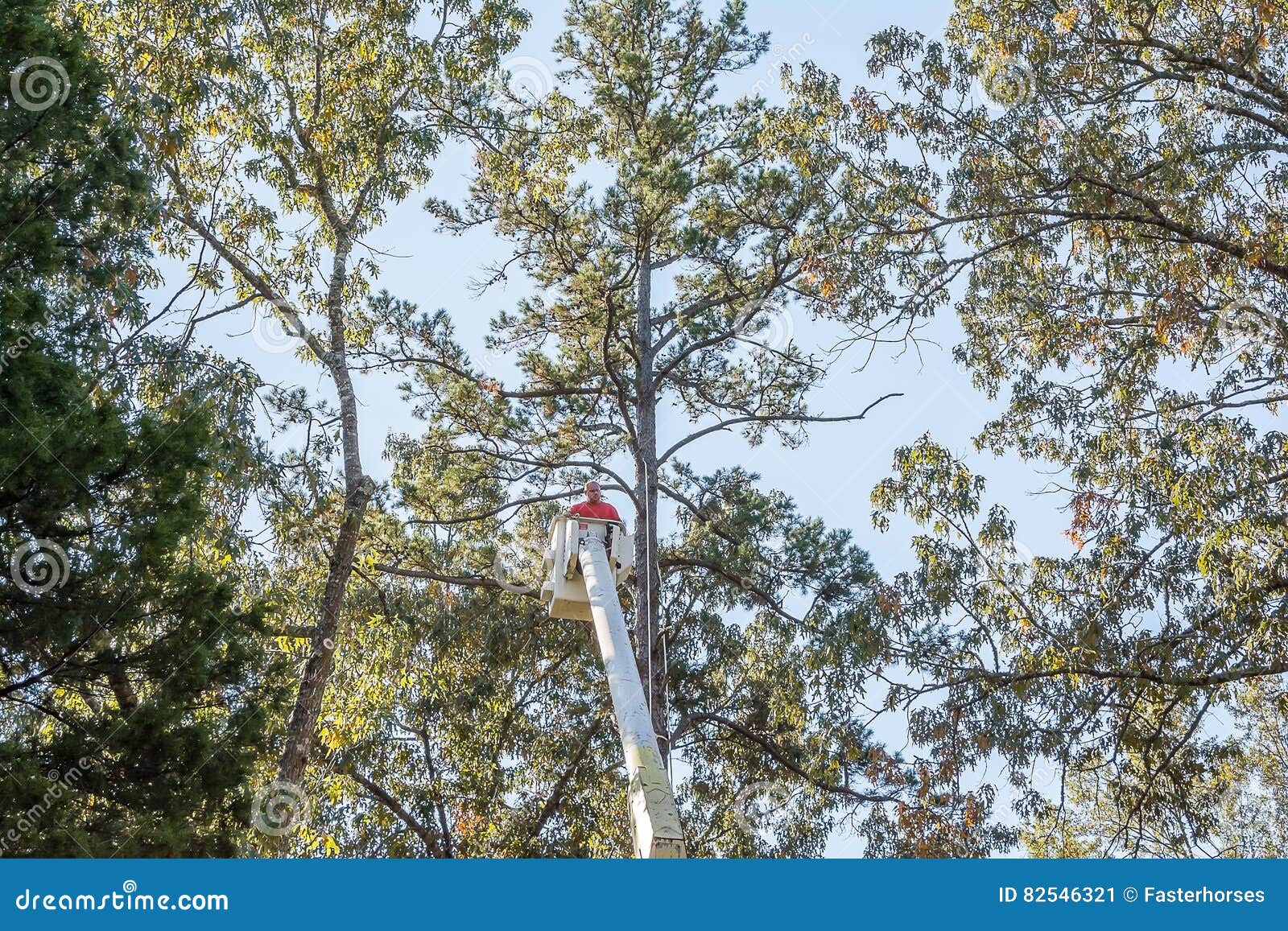 Trimming Trees. editorial photo. Image of industry, house - 82546321
