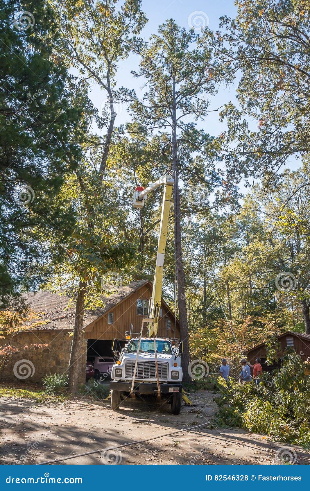 Trimming Trees. editorial stock photo. Image of worker - 82546328