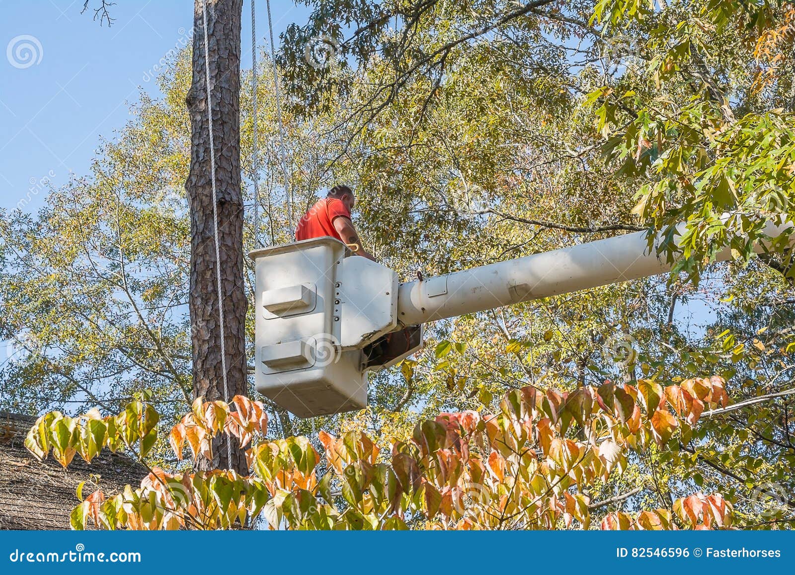 Trimming Trees. editorial photo. Image of house, worker - 82546596