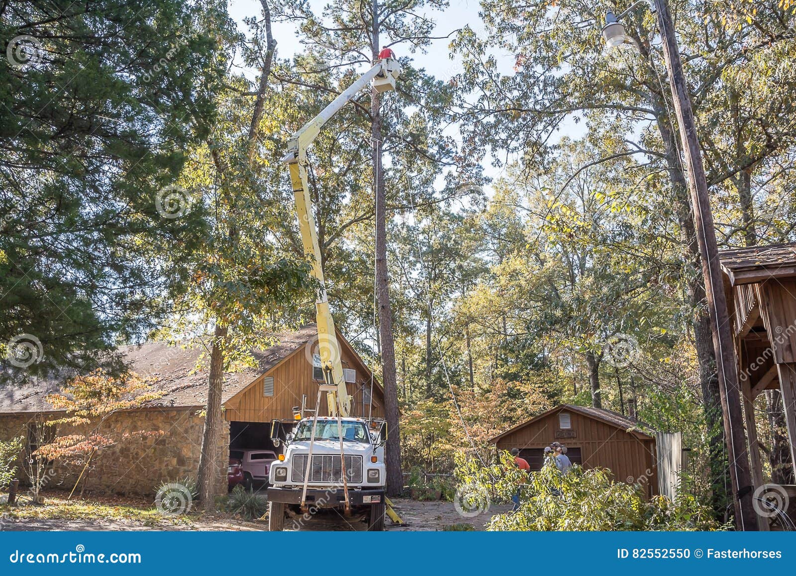 Trimming Trees. editorial image. Image of daytime, chainsaw - 82552550