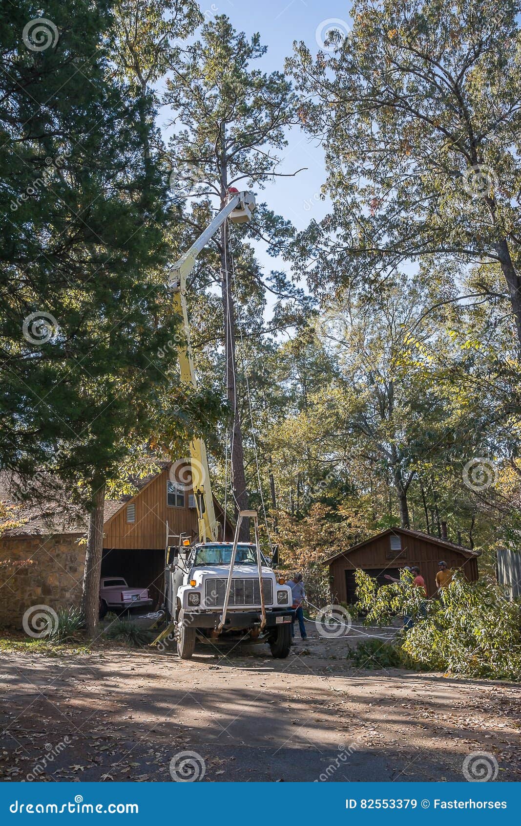 Trimming Trees. editorial stock image. Image of limbs - 82553379