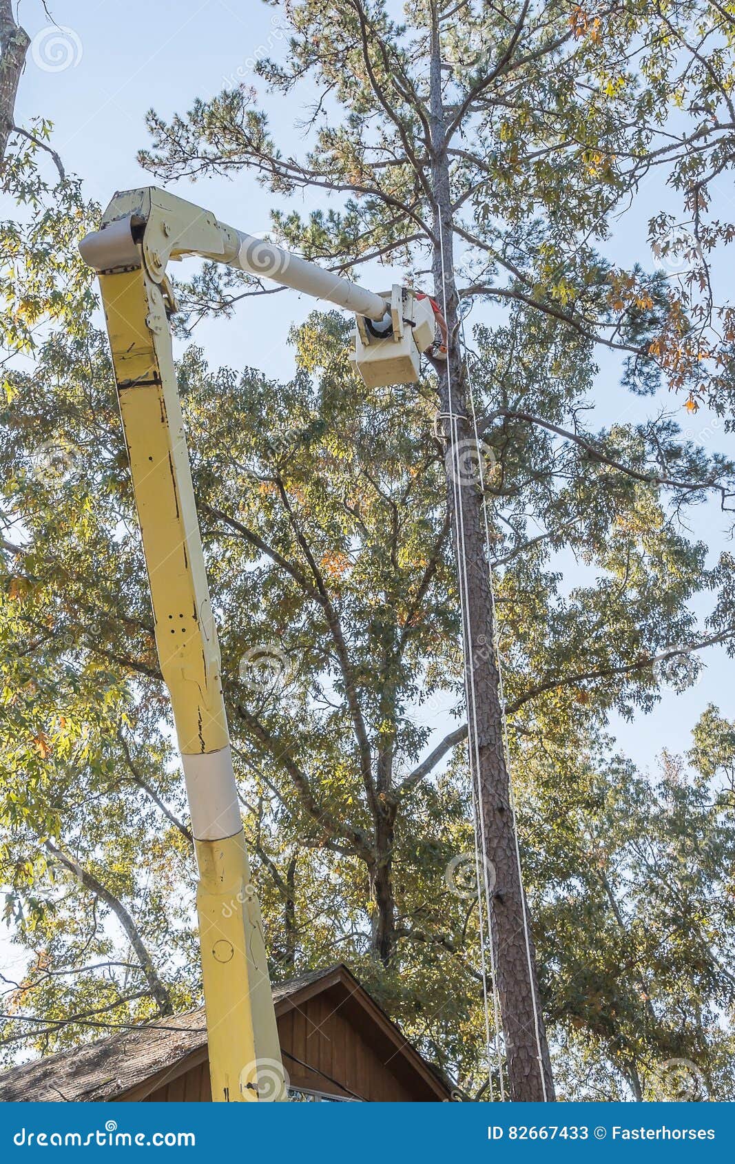 Trimming Trees. stock image. Image of clear, industry - 82667433