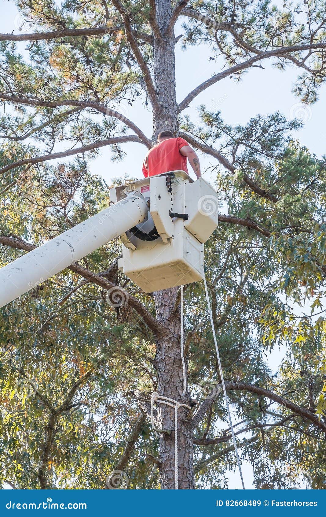 Trimming Trees. stock image. Image of trimmer, boom, green - 82668489