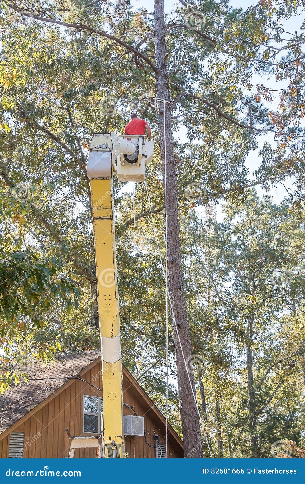 Trimming Trees. stock photo. Image of truck, dangerous - 82681666