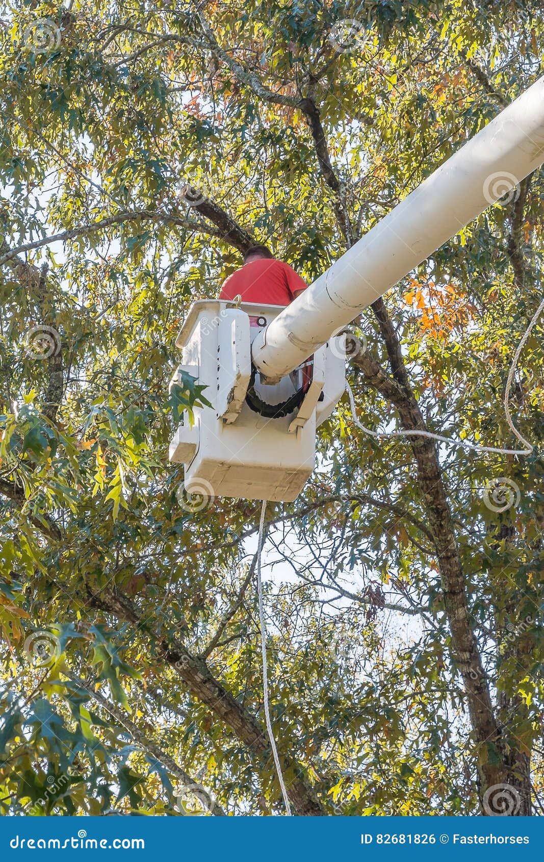 Trimming Trees. stock photo. Image of tree, worker, chainsaw - 82681826