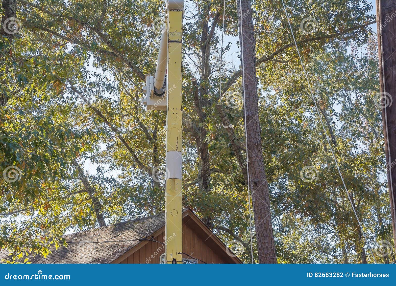 Trimming Trees. stock photo. Image of chainsaw, rope - 82683282
