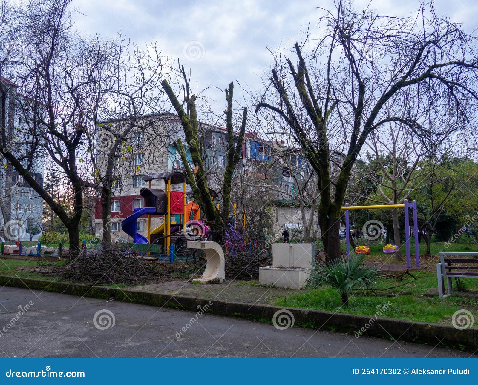 Trimming Trees in the Yard. Cutting a Tree Trunk. Municipality Work ...