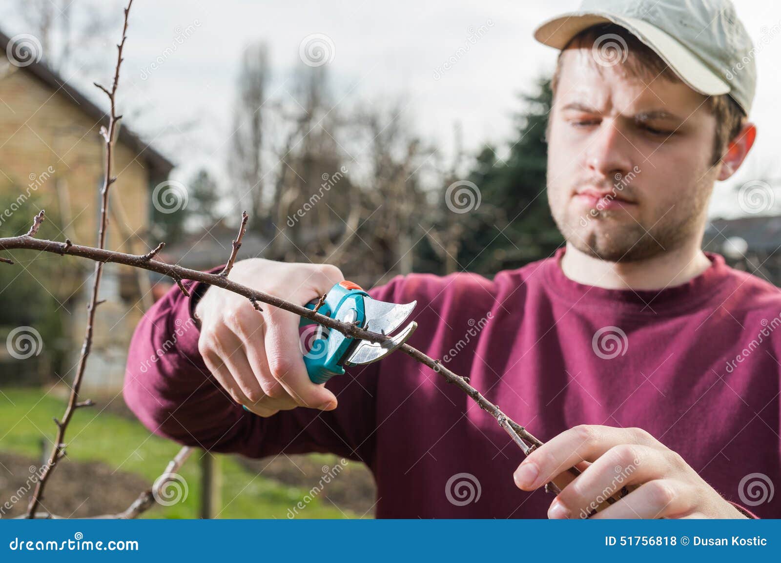 Trimming trees stock photo. Image of cutter, hand, wood - 51756818