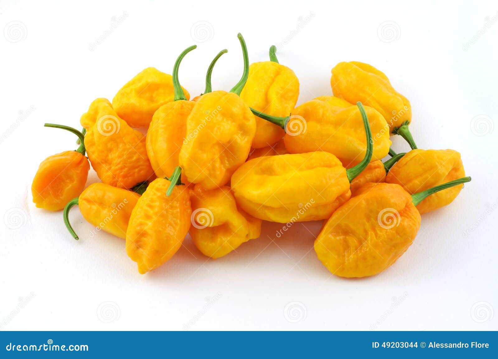 Trinidad Moruga Scorpion stock photo. Image of peppers - 49203044