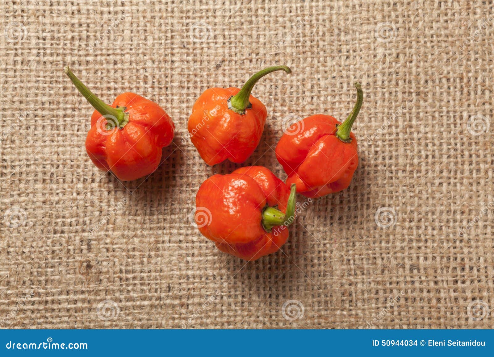 Trinidad Moruga Scorpion Pepper Foto de archivo - Imagen de salud ...