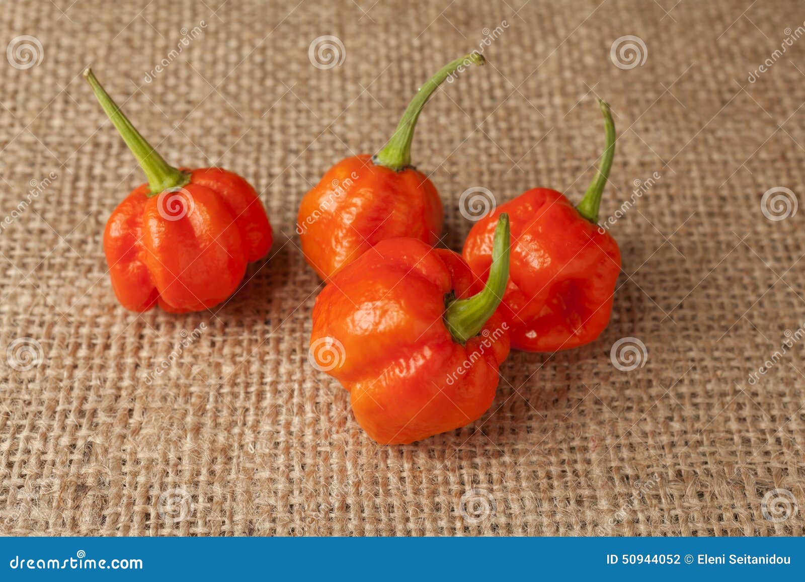 Trinidad Moruga Scorpion Pepper Foto de archivo - Imagen de frescura ...