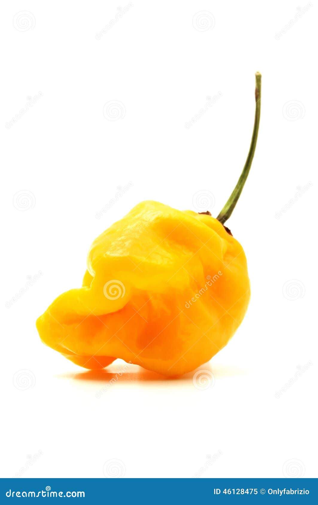 Trinidad Moruga Scorpion Yellow Imagem de Stock - Imagem de isolado ...