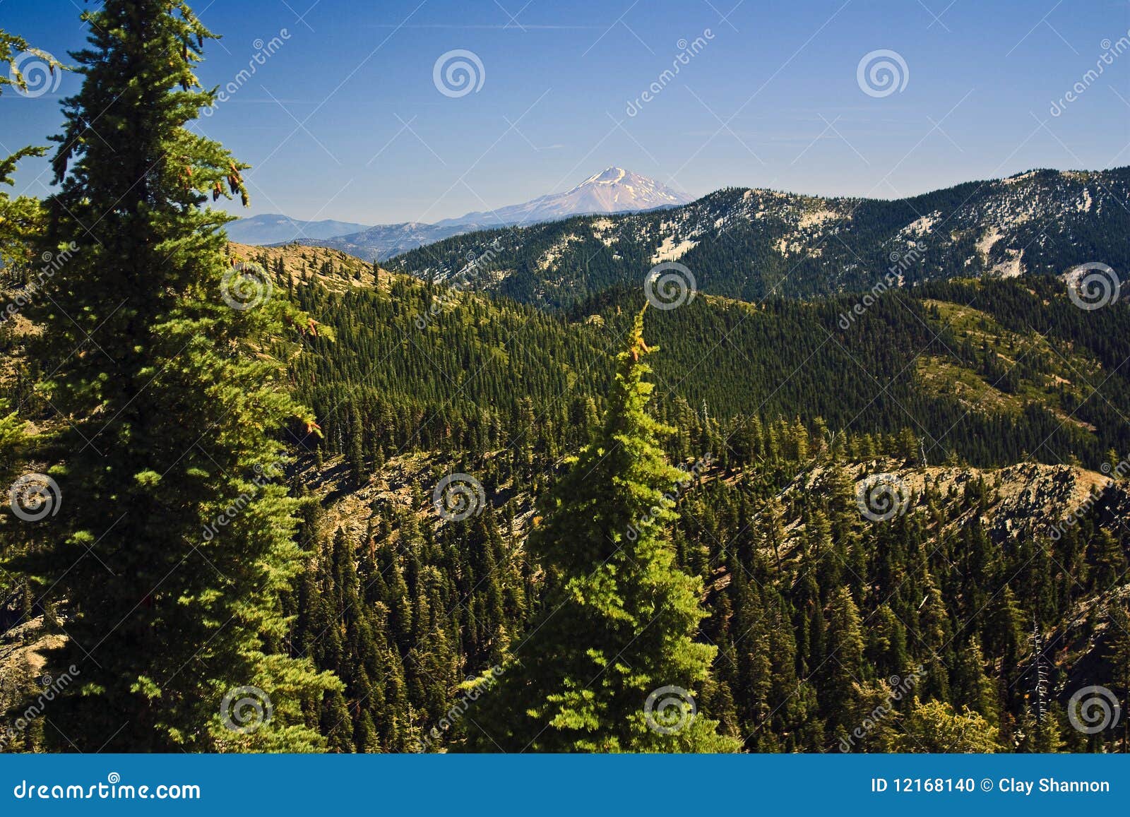 Trinity Alps and Mount Shasta Stock Photo - Image of alps, trail: 12168140