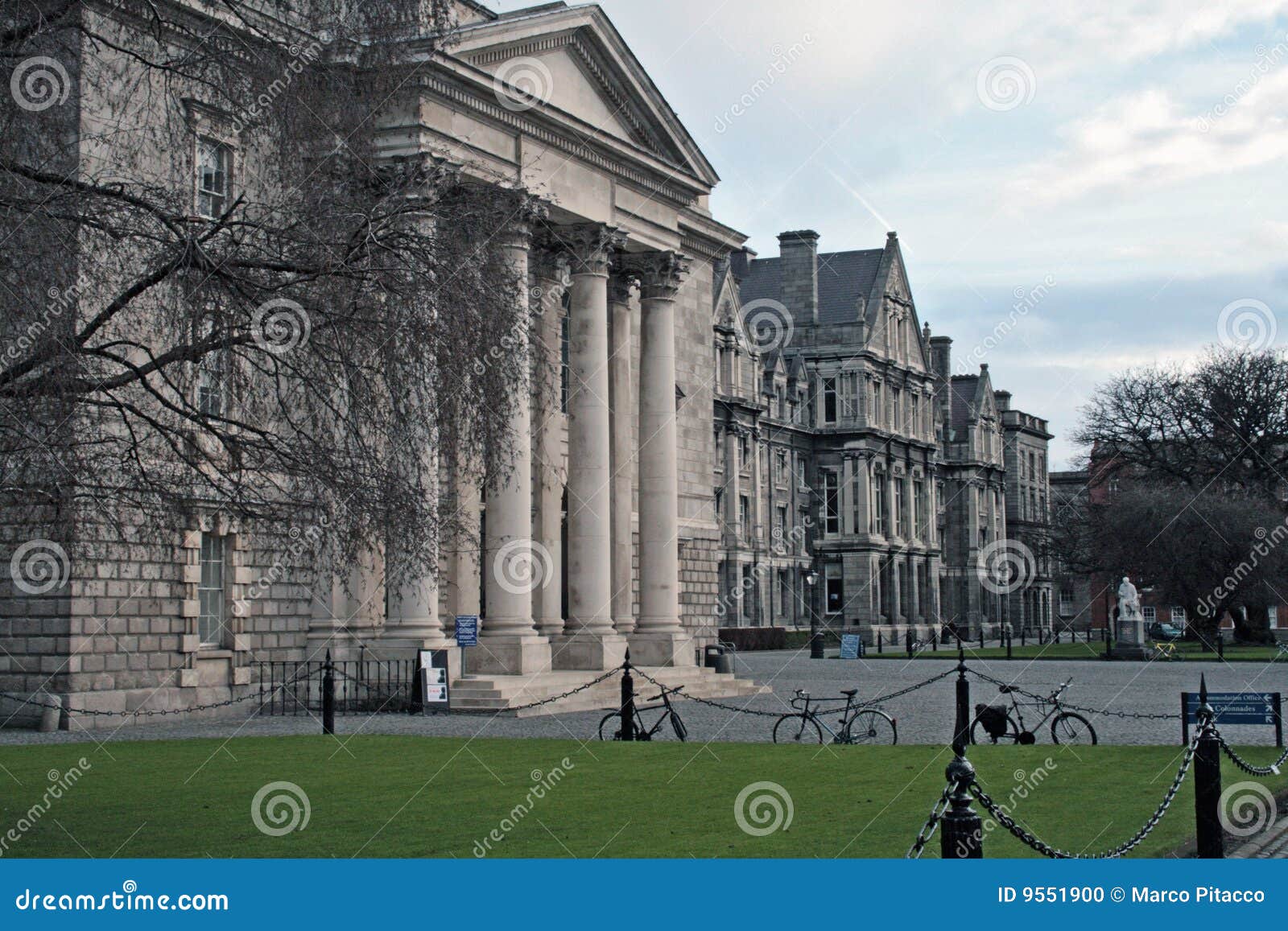 Trinity college stock photo. Image of windows, bench, green - 9551900