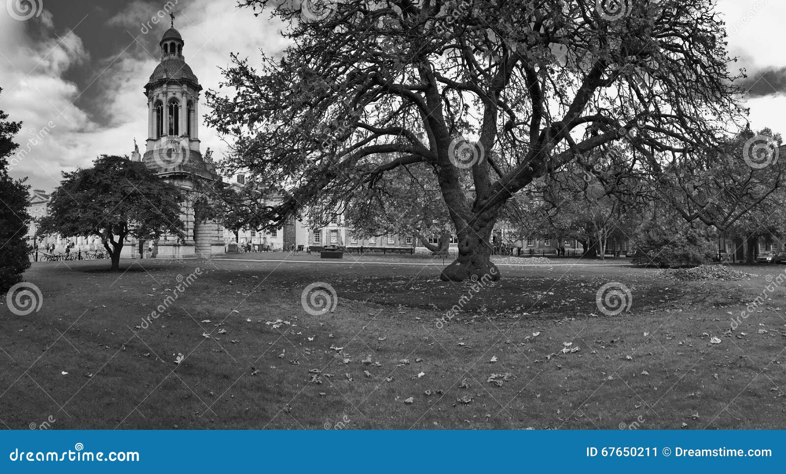 Trinity College Campus Grounds Stock Image - Image of ireland, college ...
