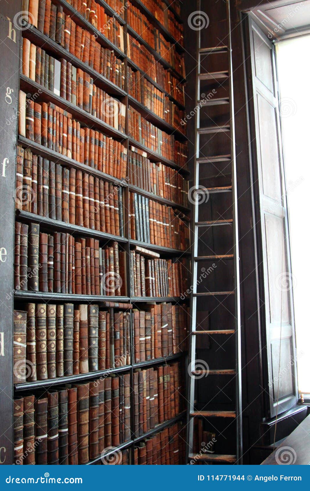 Trinity College Library Dublin Ireland Editorial Stock Image - Image of ...
