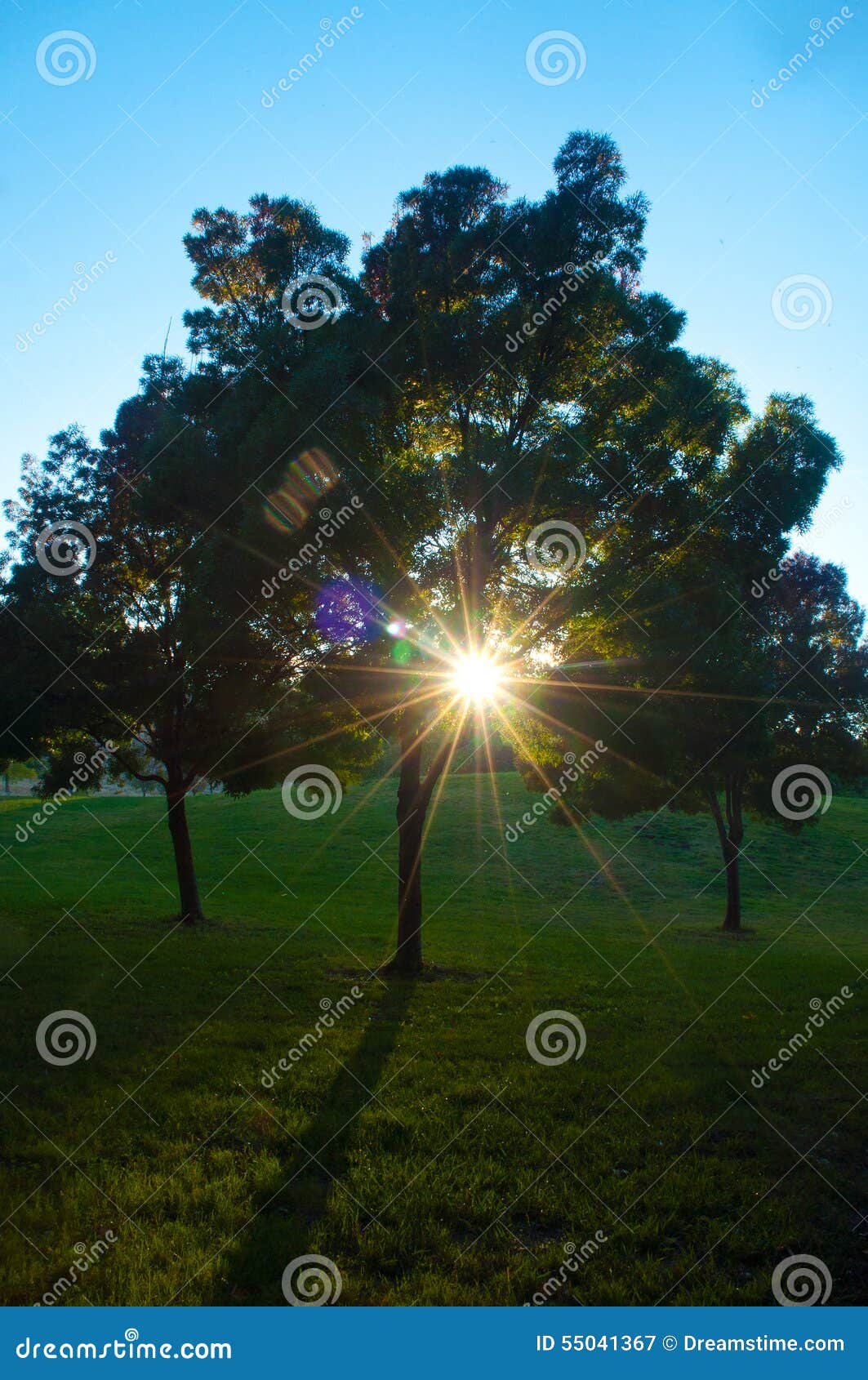 Trinity stock image. Image of trees, print, trinity, hillside - 55041367