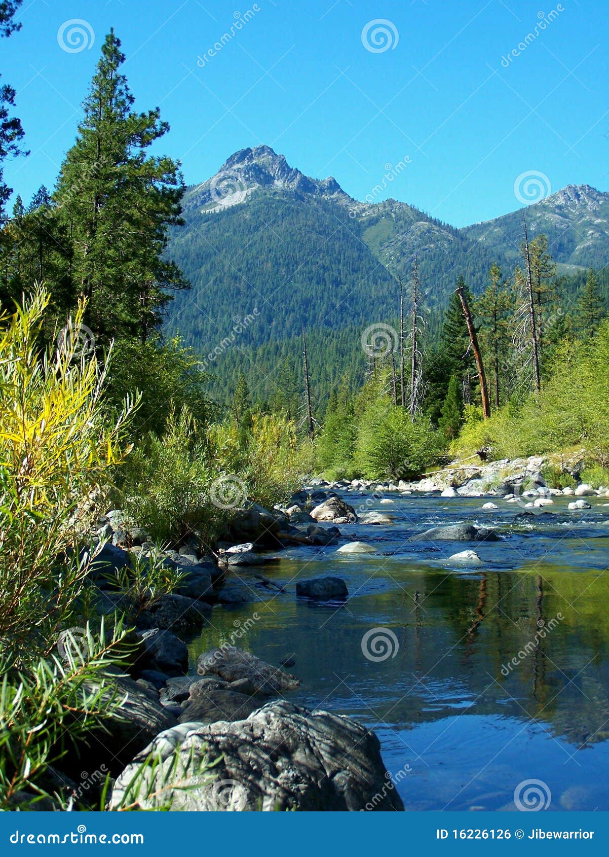Trinity River, Trinity Alps Stock Photo - Image of forest, trees: 16226126
