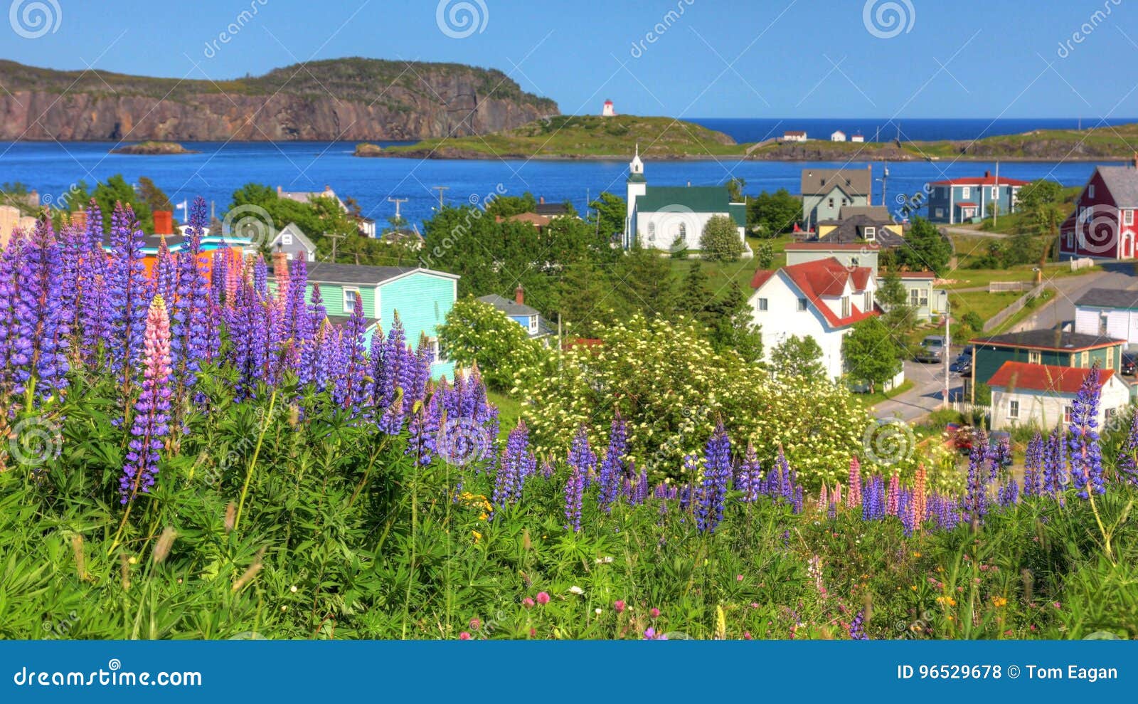 Trinity in summer stock photo. Image of harbour, town - 96529678