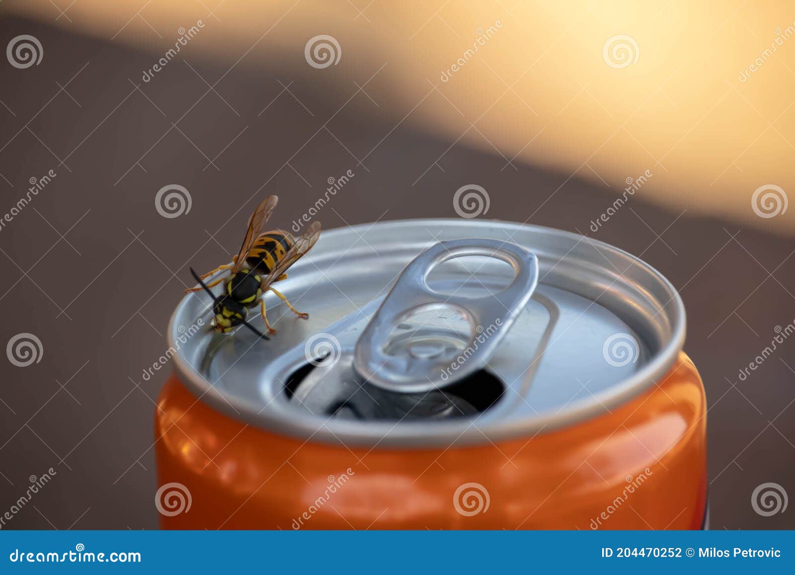 Trinkendes Limonade Der Wespe Auf Der Dose Redaktionelles ...