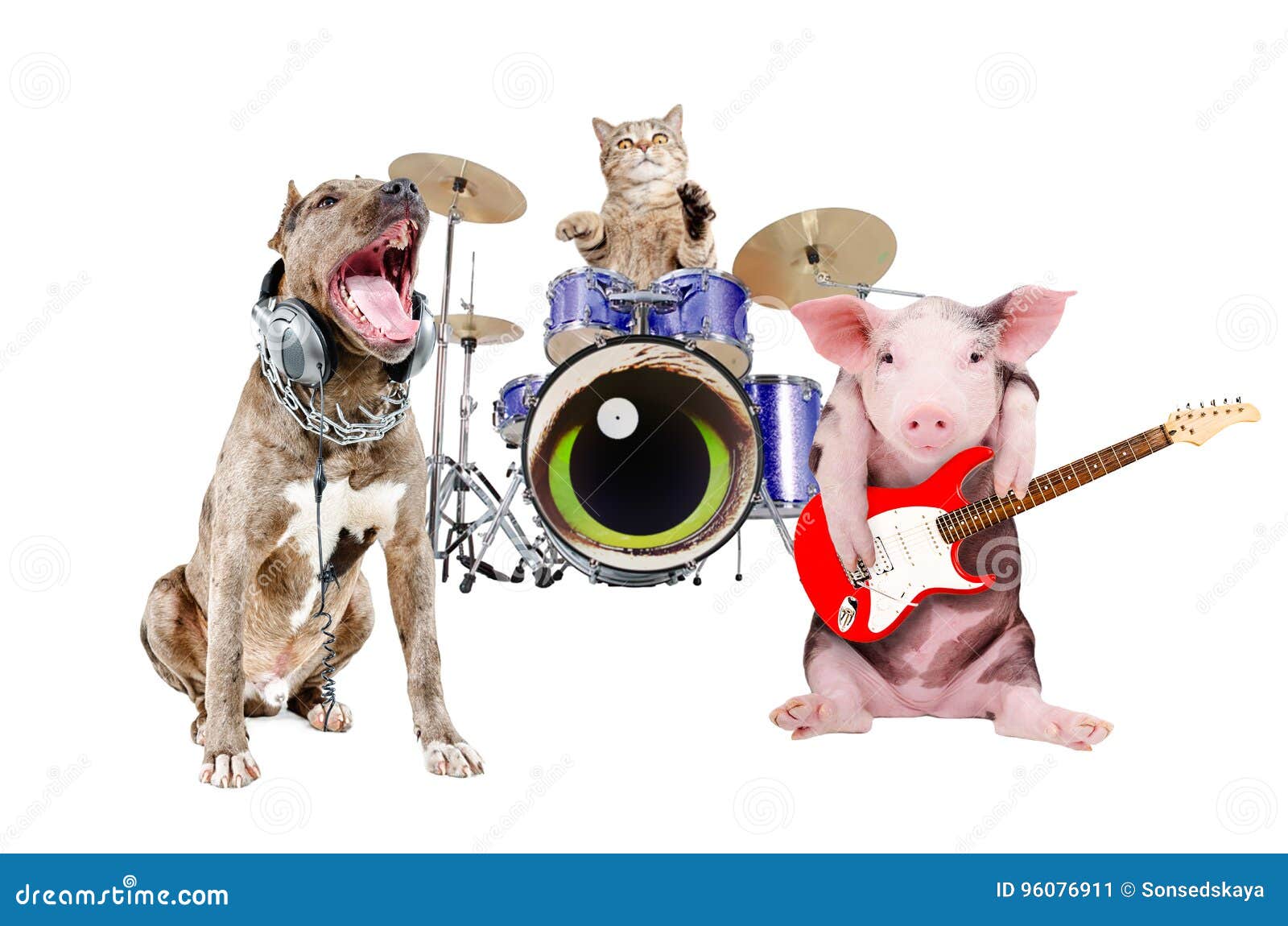 Trio of animal musicians stock image. Image of friend - 96076911