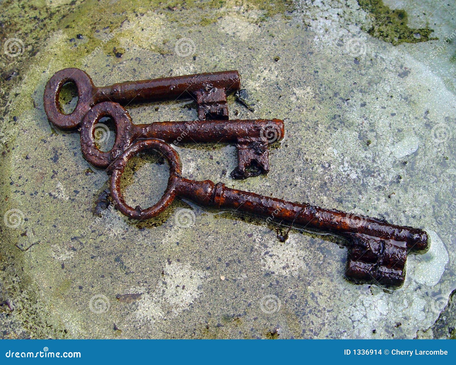 Trio of rusty keys stock photo. Image of keys, life, circle - 1336914
