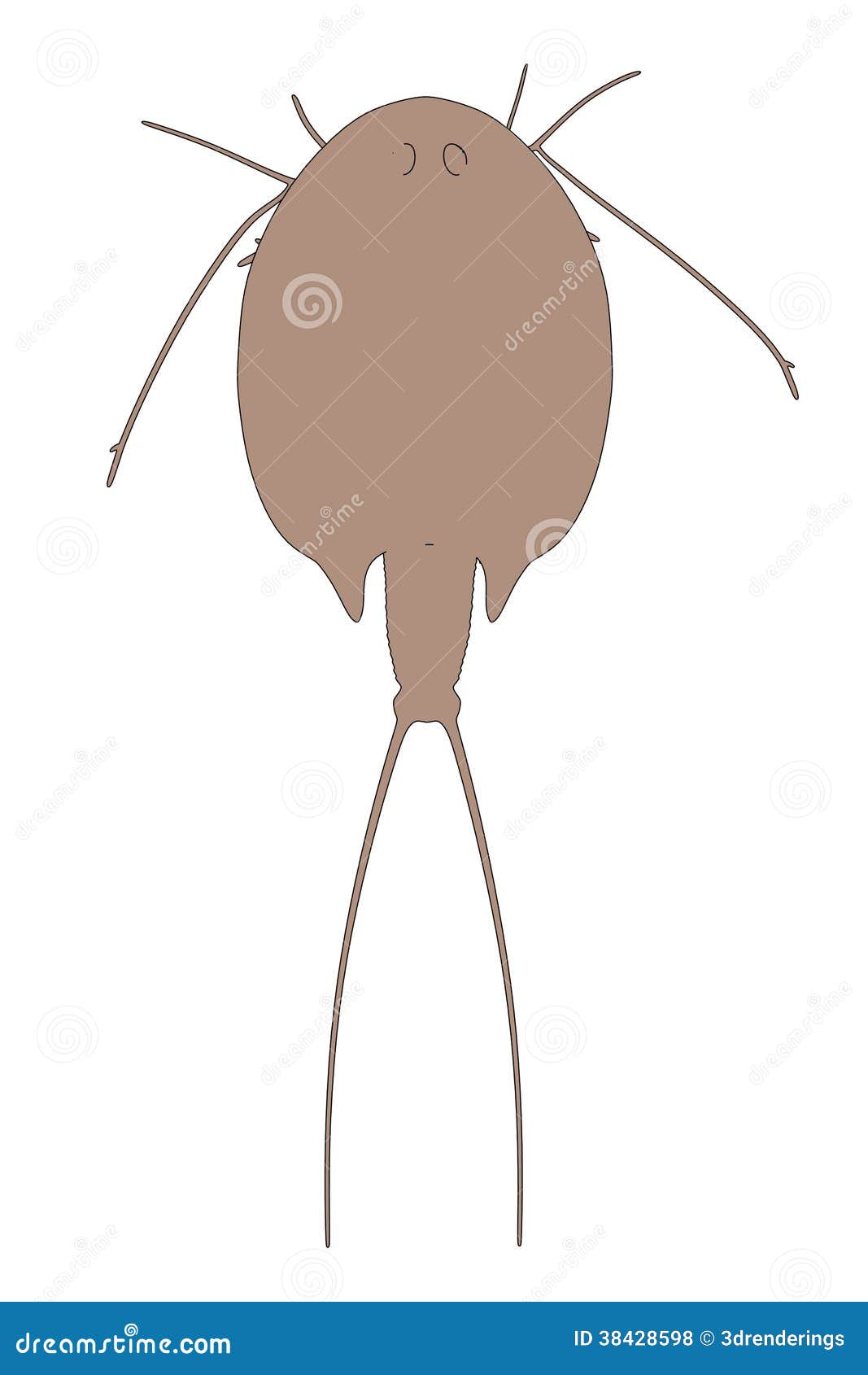 Triops -animal stock illustration. Illustration of animal - 38428598