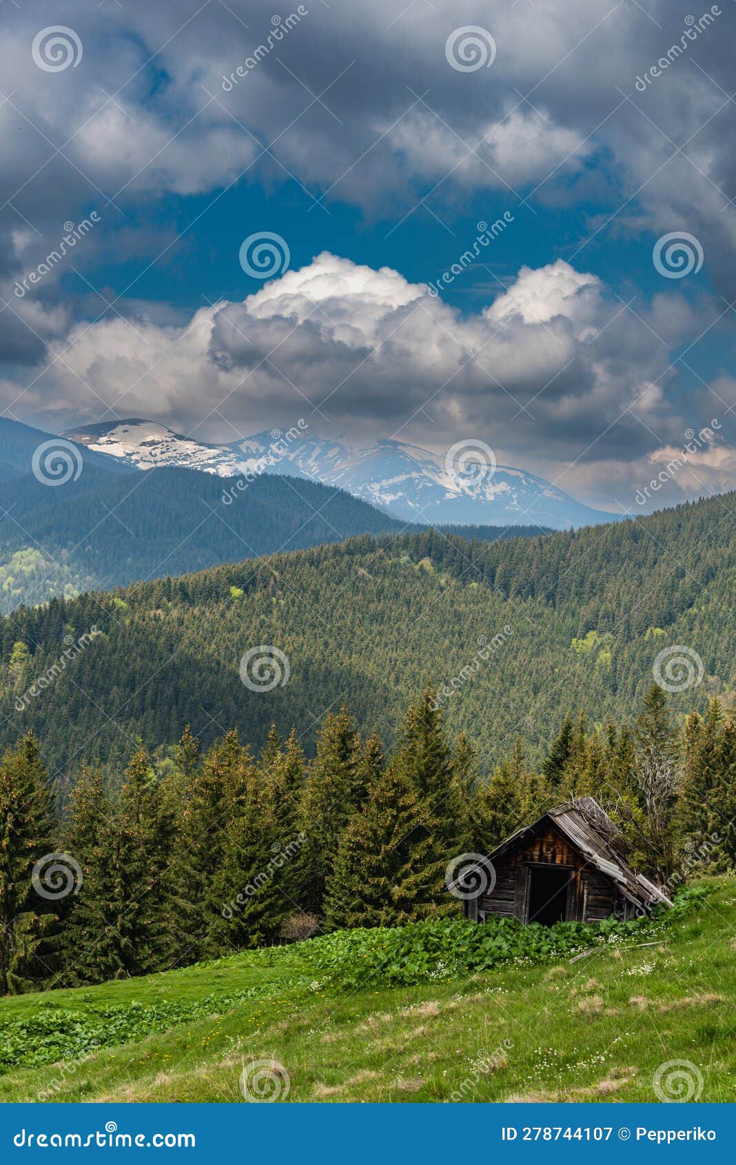 A Trip through the Spring Mountains with a View of Snow-capped Peaks ...