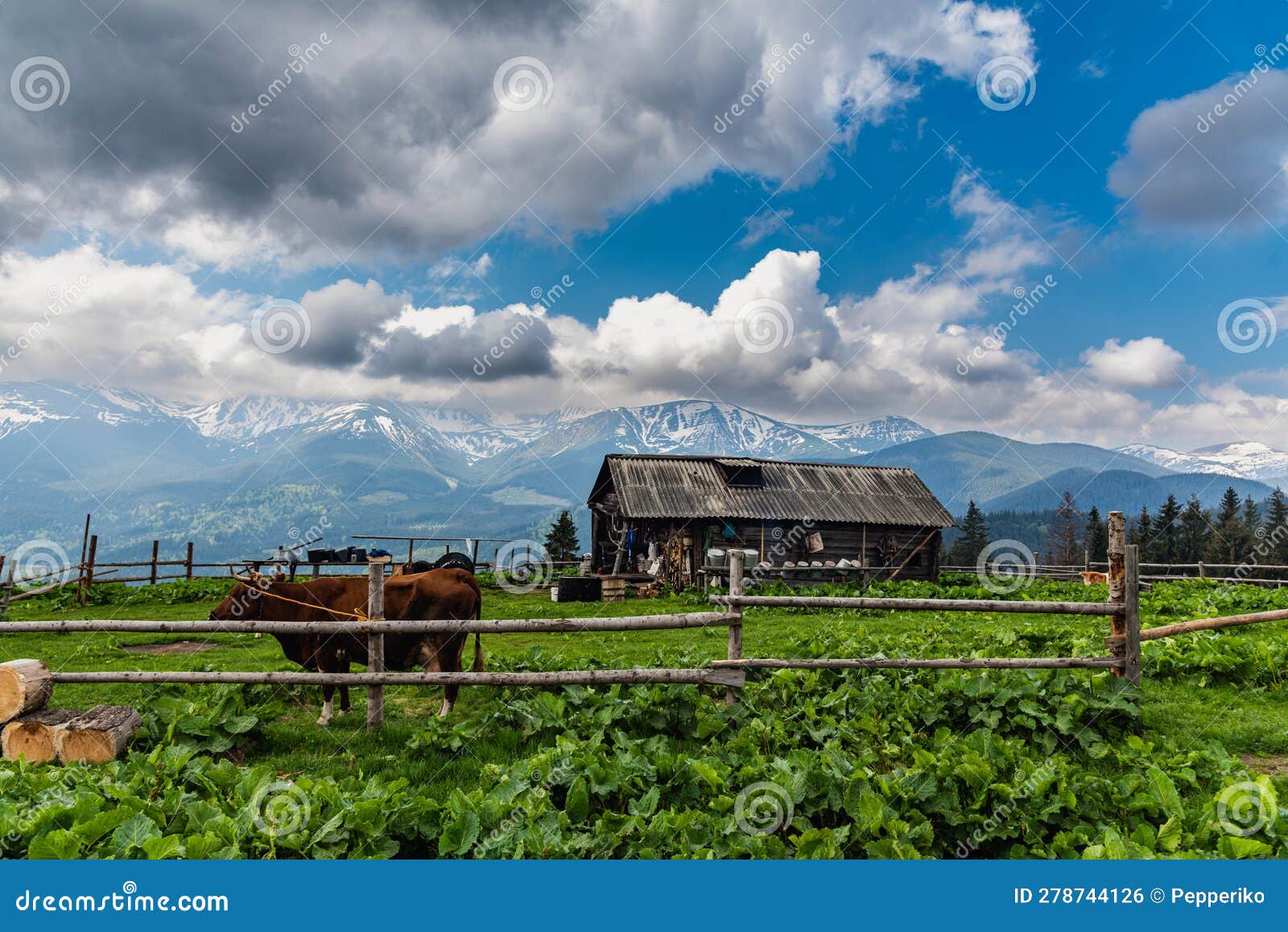 A Trip through the Spring Mountains with a View of Snow-capped Peaks ...