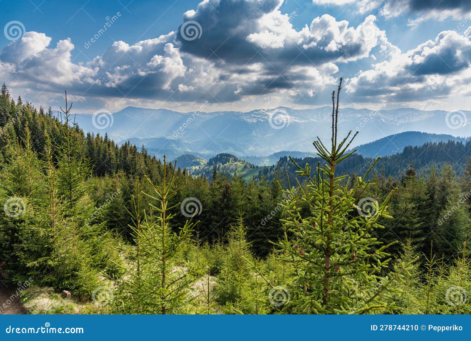 A Trip through the Spring Mountains with a View of Snow-capped Peaks ...