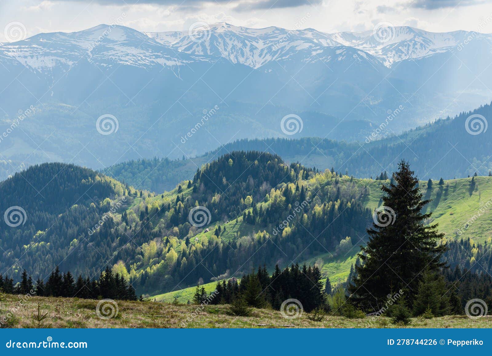A Trip through the Spring Mountains with a View of Snow-capped Peaks ...