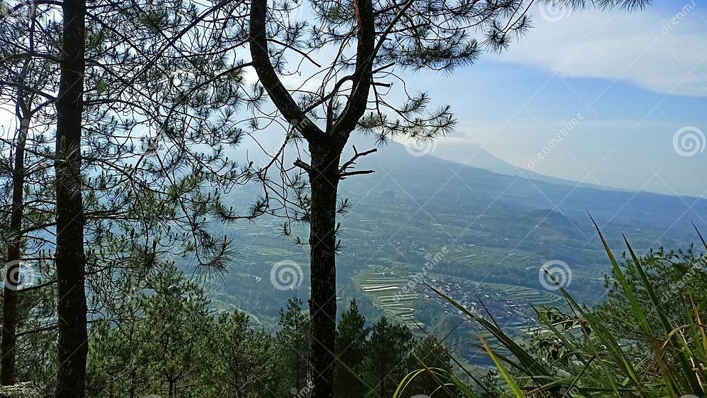 Trip to Mount Andong stock photo. Image of tree, andong - 278605976