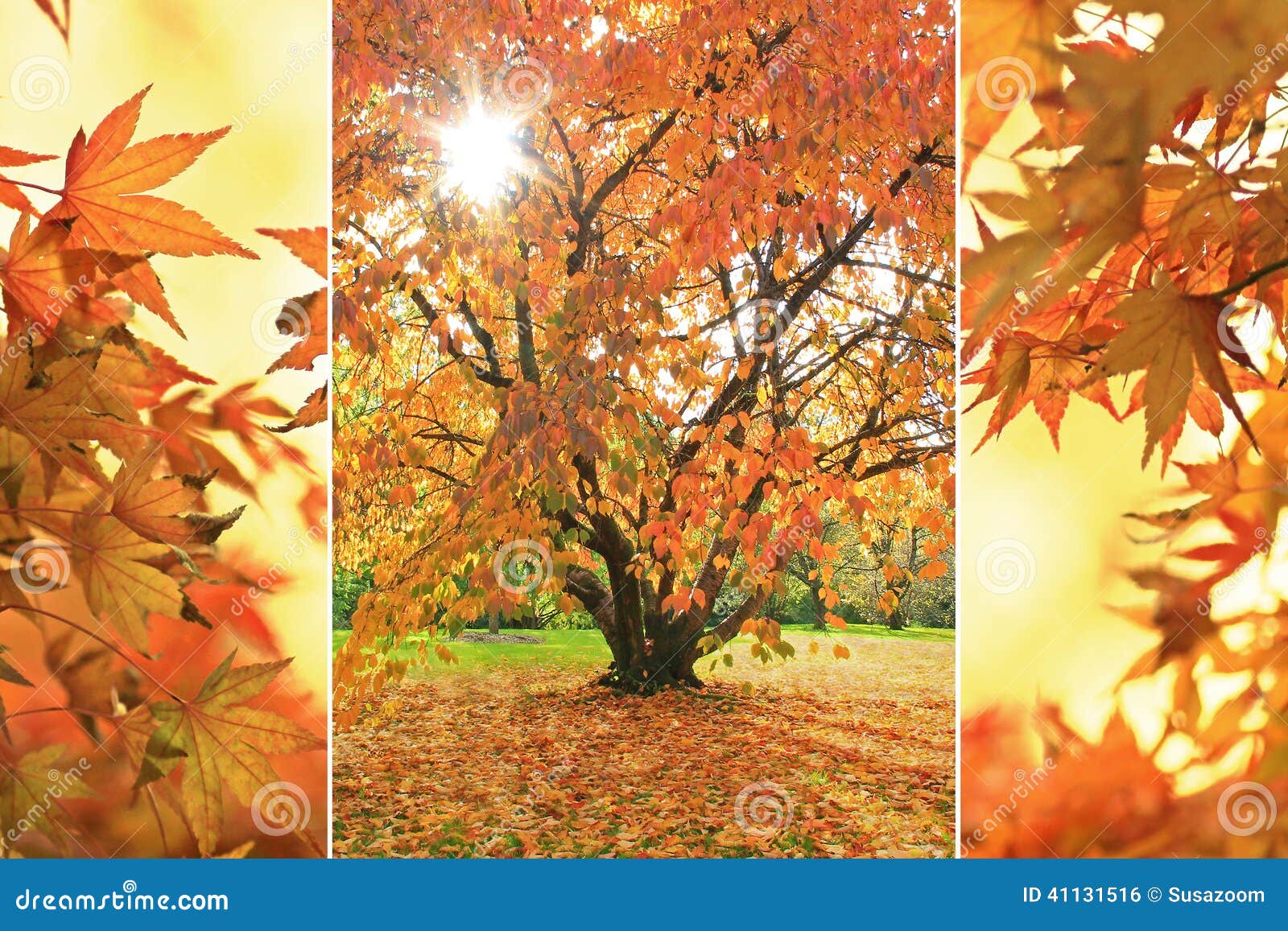 Triple Tree In The Forest,enchanted Tree In The Forest Grows, The ...