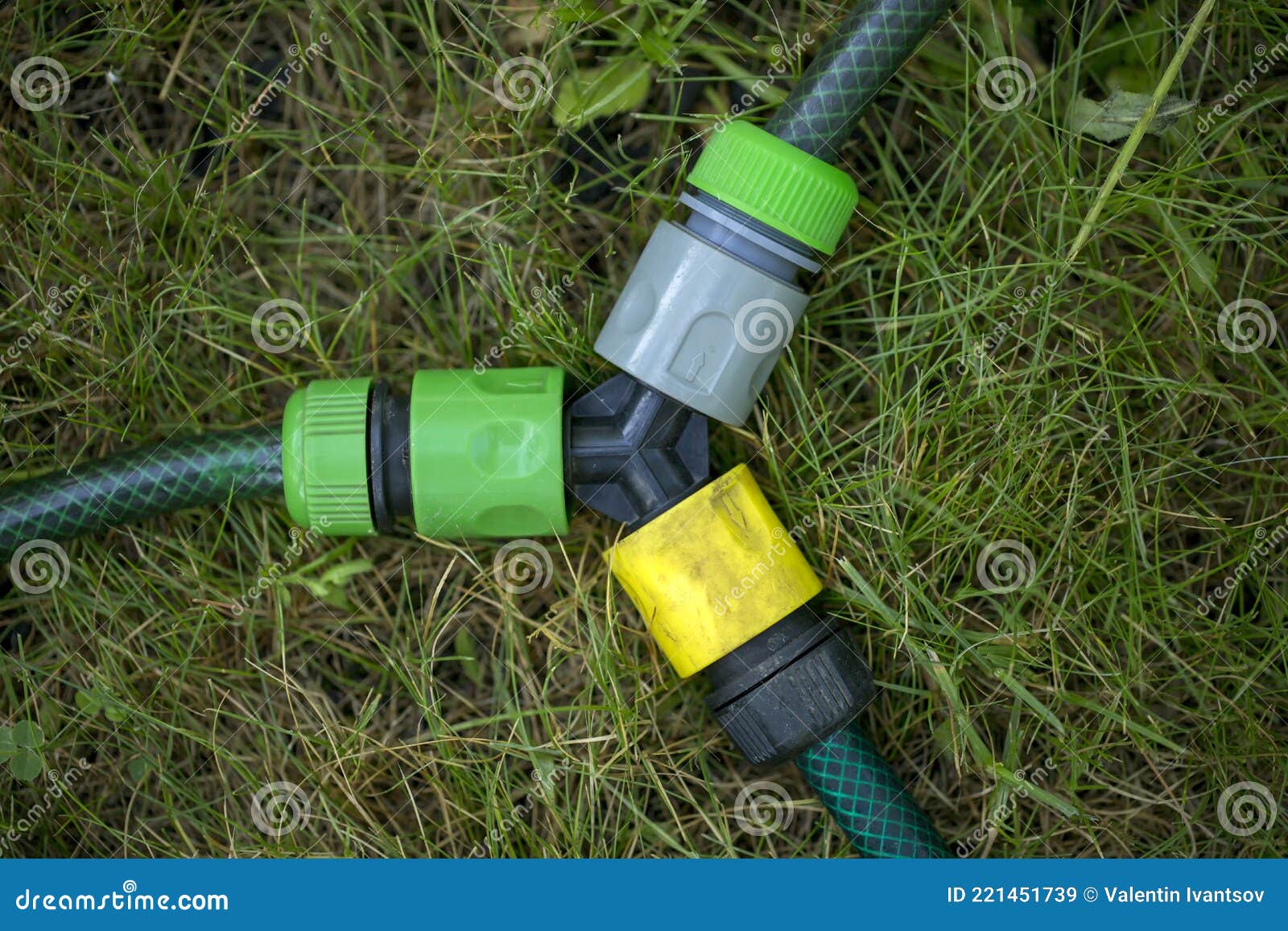 Triple Connection System for Watering Hoses in Grass Stock Image ...