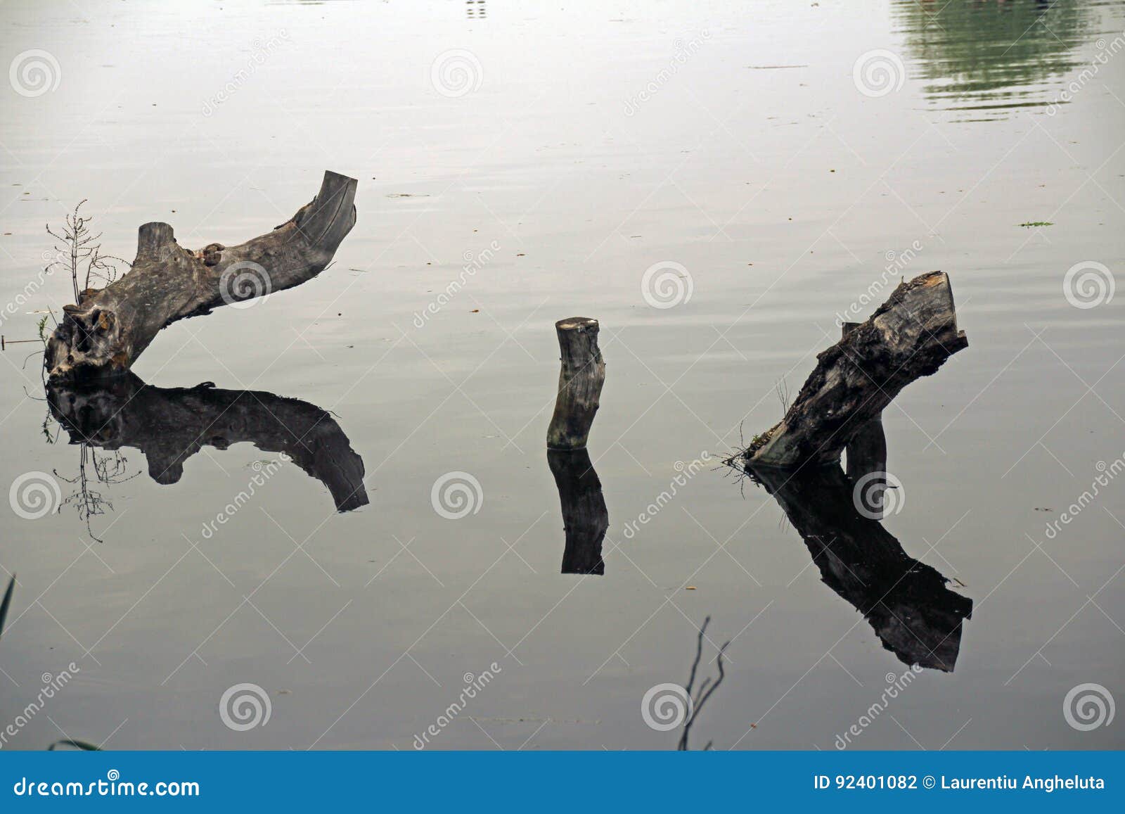 Triple Reflection in the Lake Stock Photo - Image of white, logs: 92401082