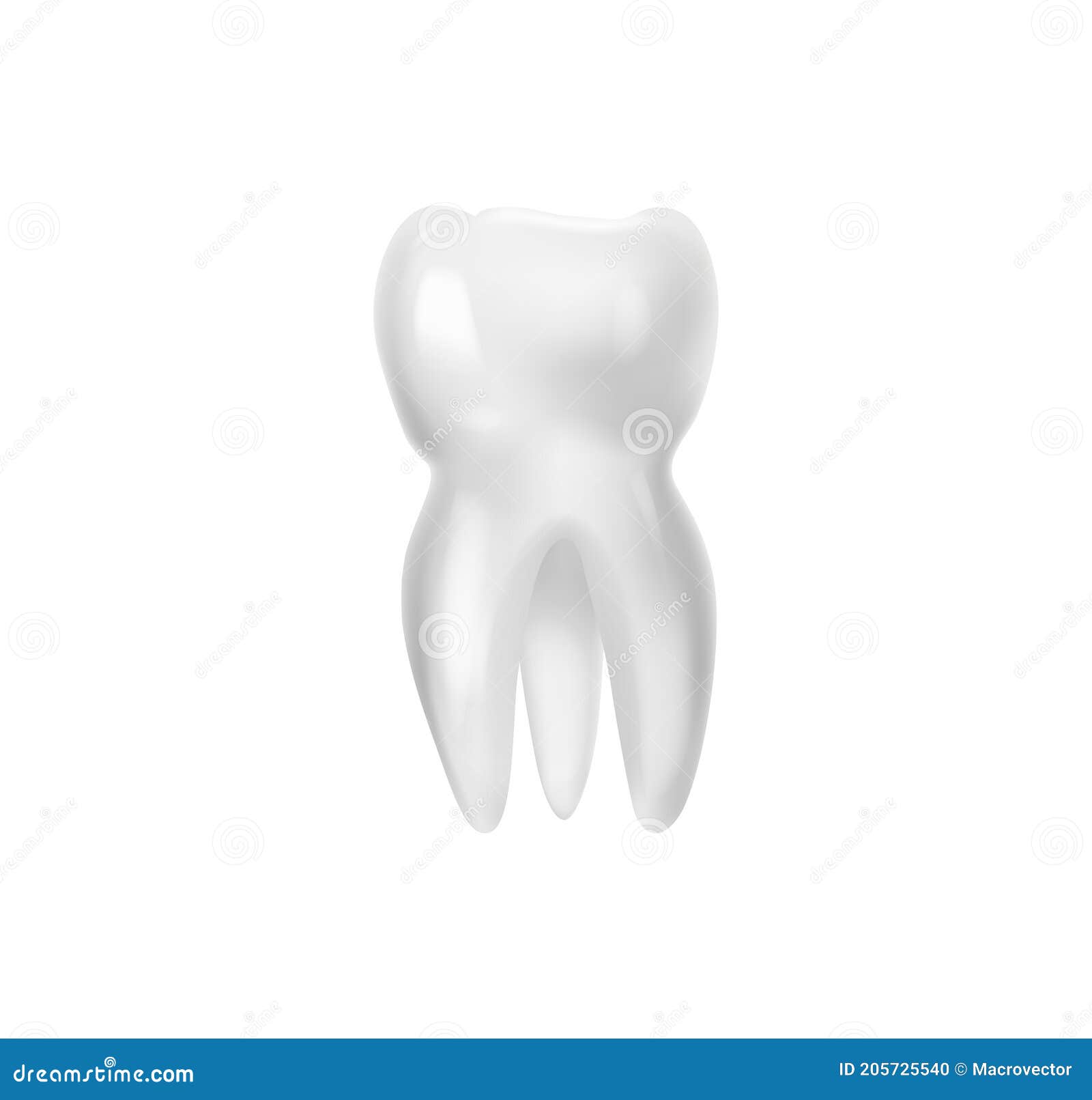 Triple Root Tooth Composition Stock Vector - Illustration of design ...