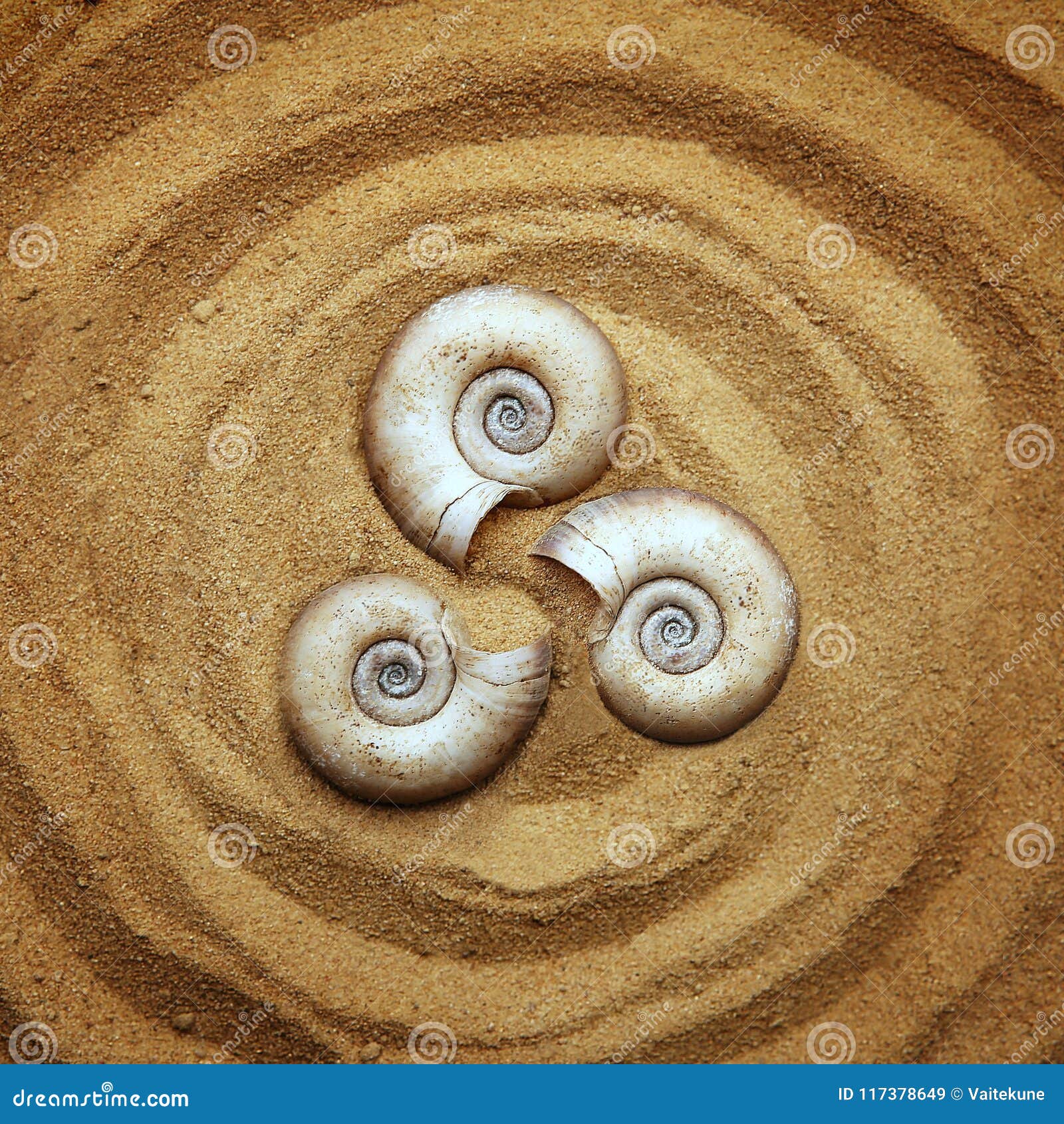 Triple Spiral on Sand. Concept with Dry Snail Shells. Stock Image ...