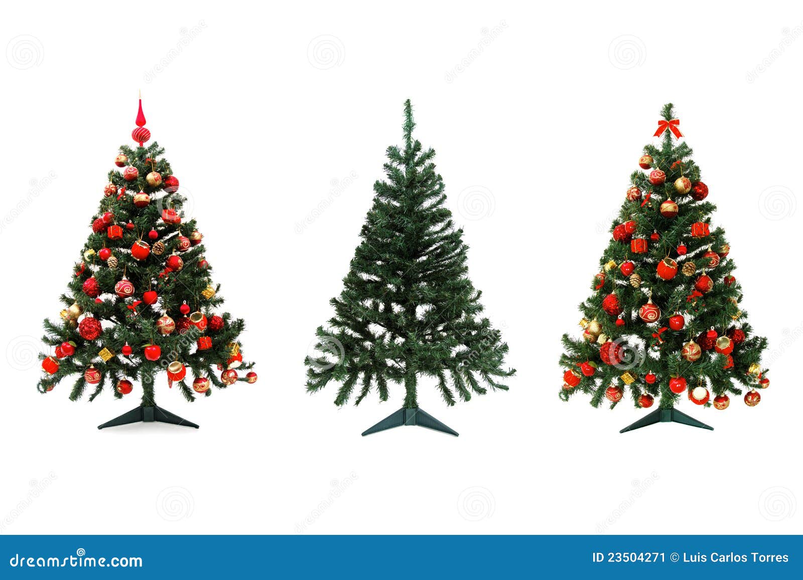 Triple tree stock image. Image of close, frame, full - 23504271