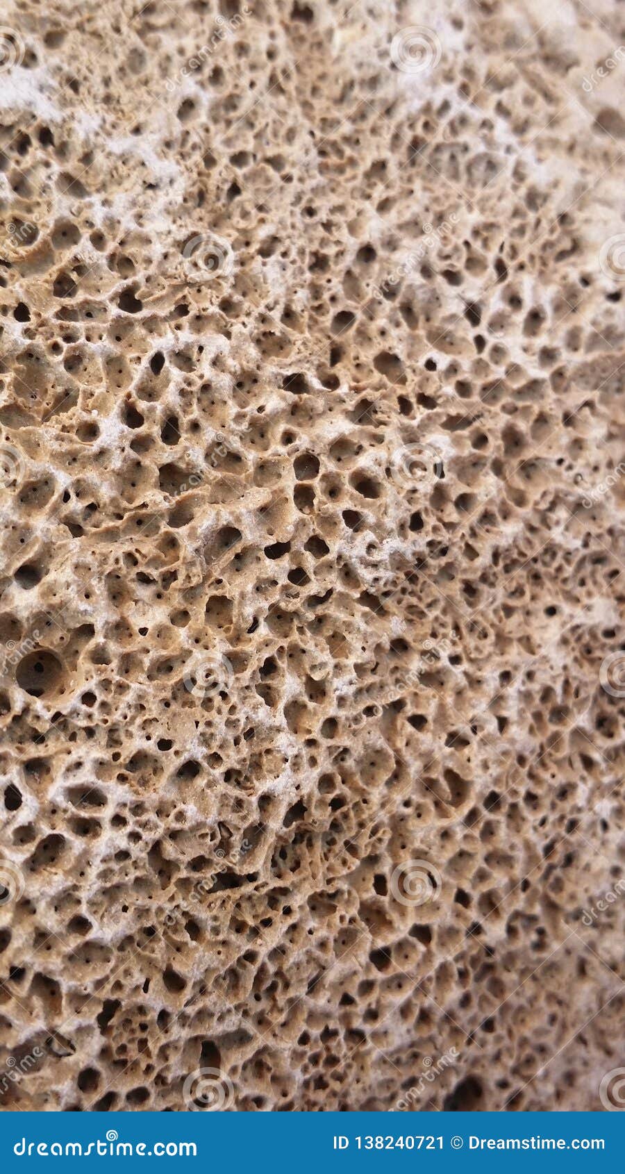 Tripophobia stock image. Image of holes, holidays, textures - 138240721
