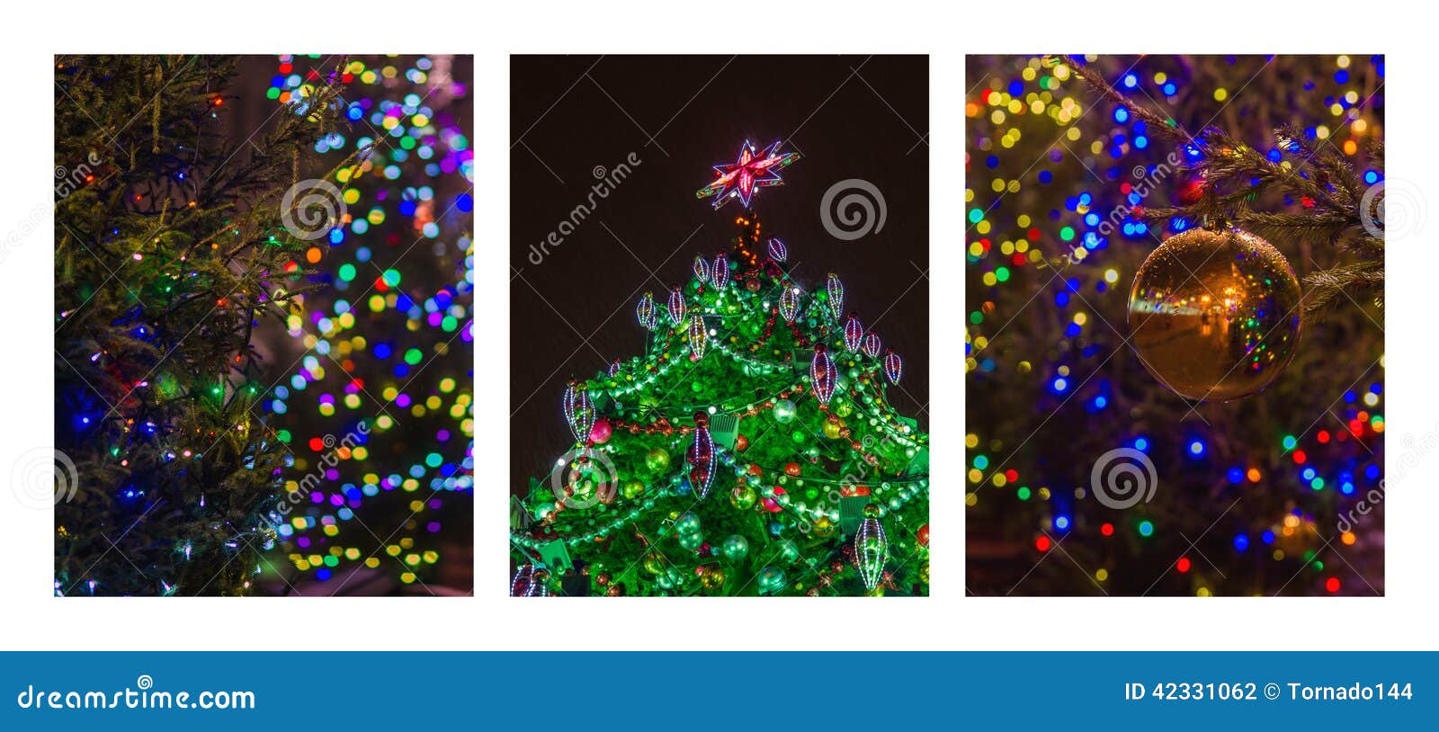 Triptych - Christmas Trees stock photo. Image of christmass - 42331062